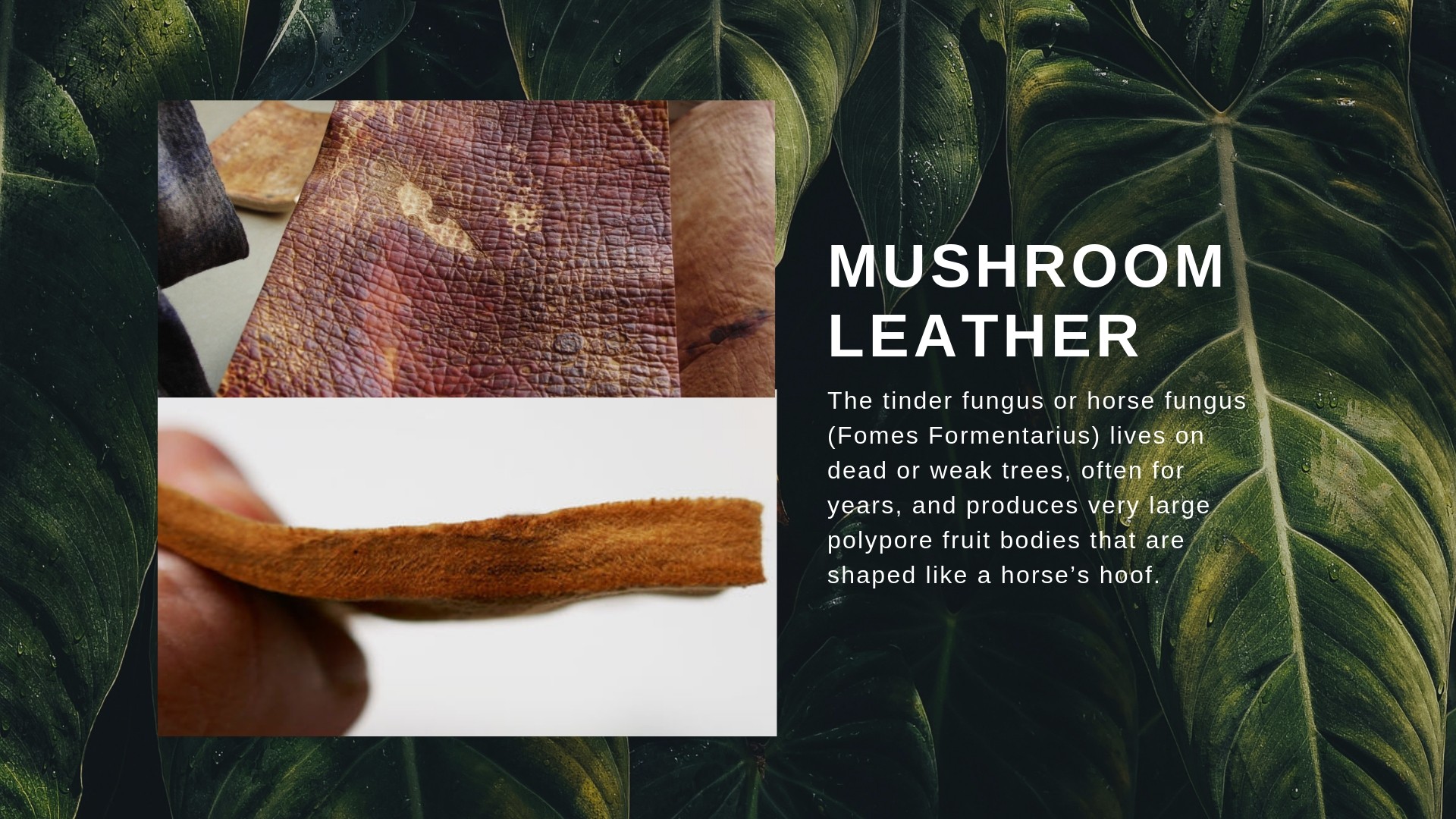 Leave a comment Cancel Reply